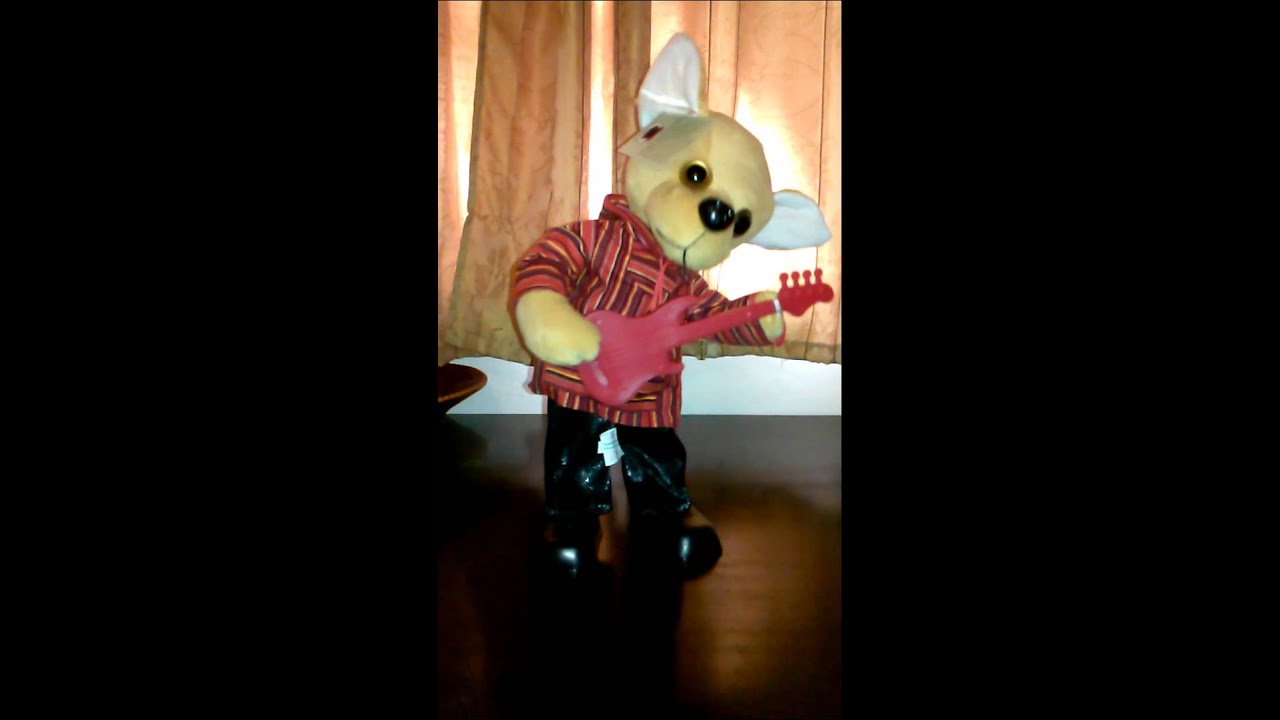 Dog sings la bamba - YouTube