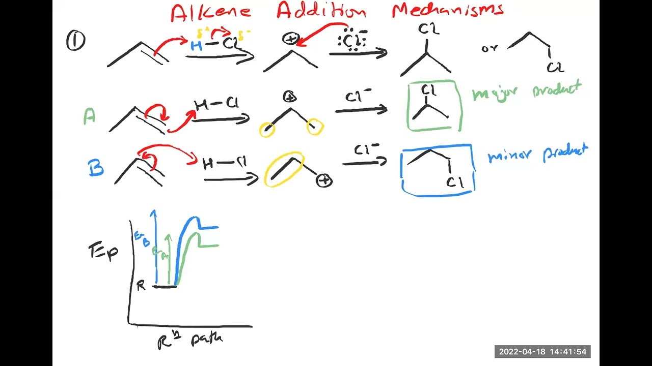 Alkene Addition Mechanisms - YouTube
