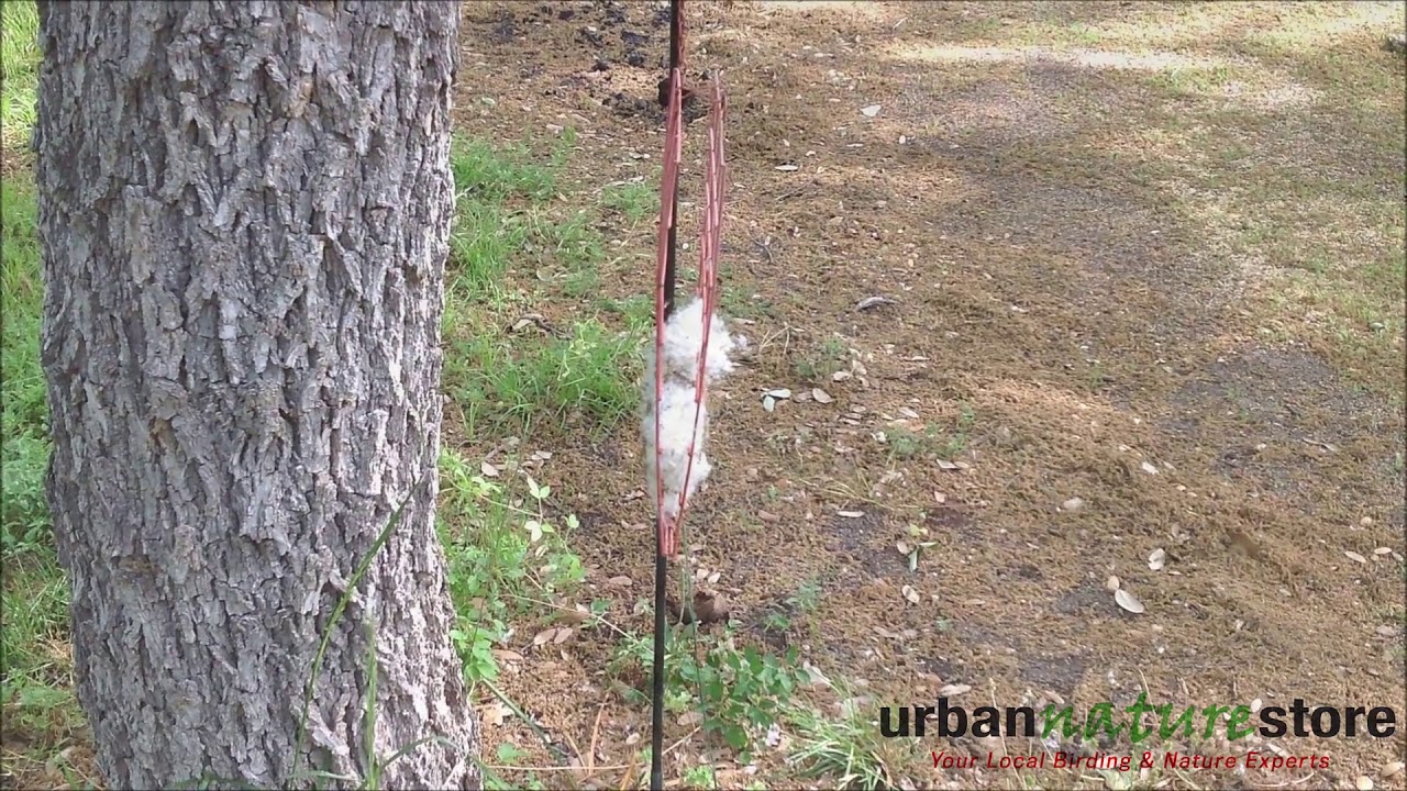 Hummer Helper Nest Material - YouTube