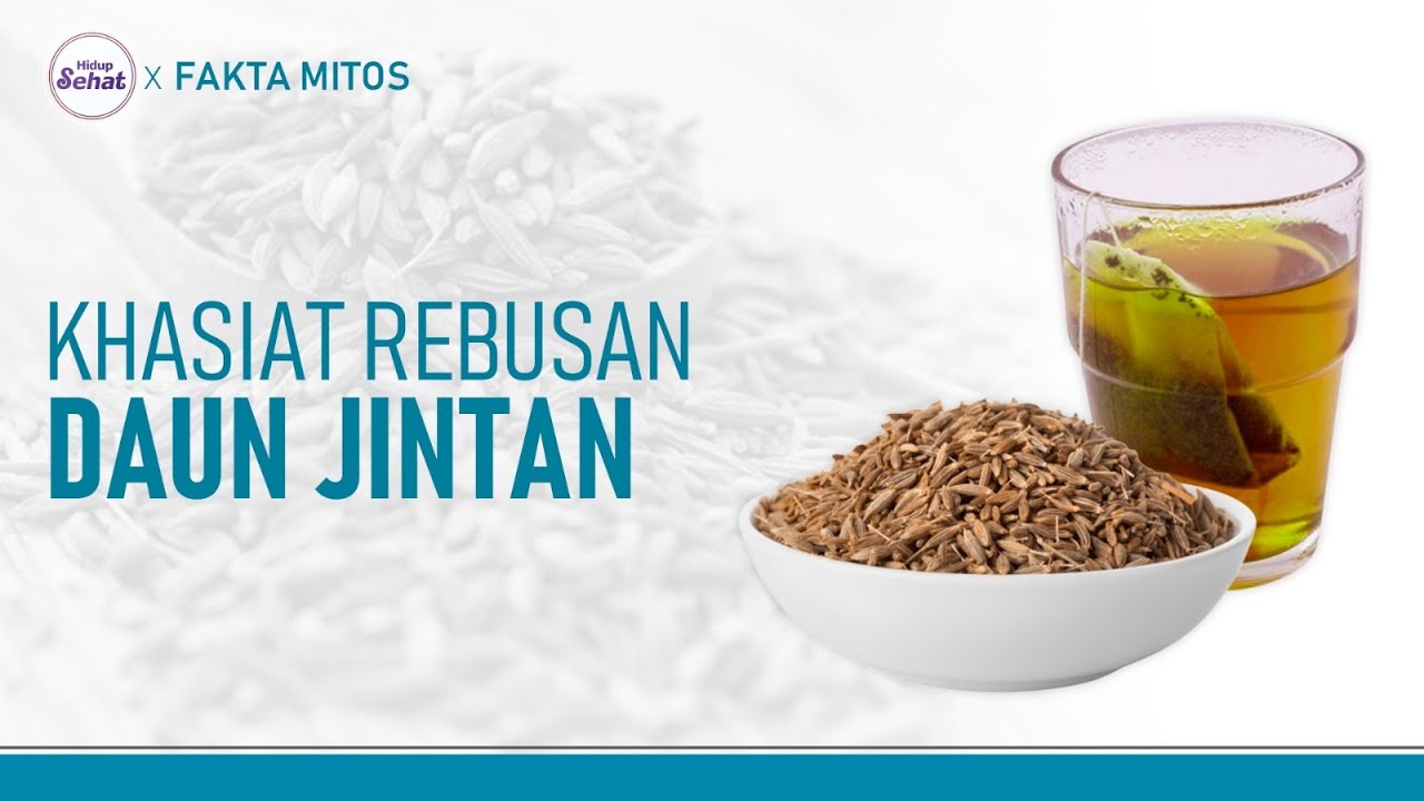 Manfaat Daun Jintan, Kuatkan Imun Hingga Cegah Kanker! | Hidup Sehat ...