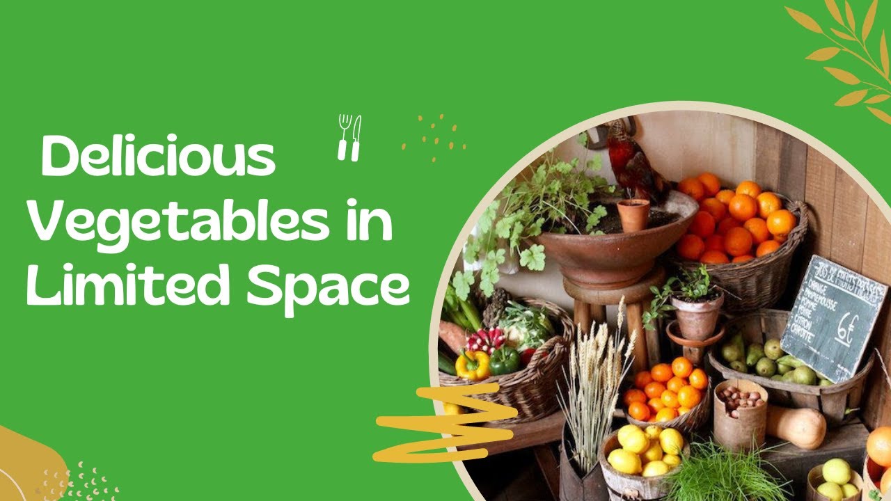 Delicious Vegetables in Limited Space Planting Guide - YouTube