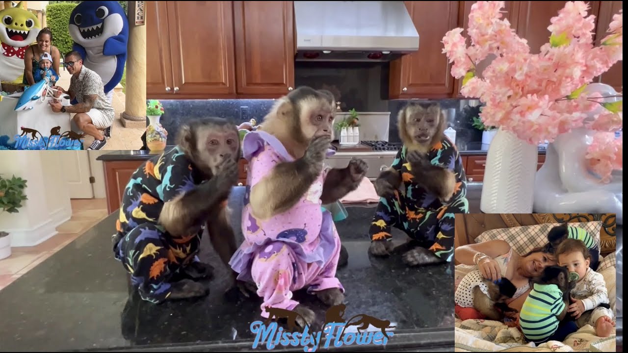 Hey…Monkeys say hello…and here is mama with 4 Monkeys in bed & a little ...