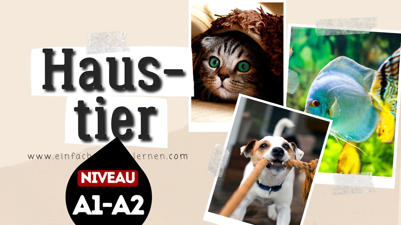 #520 Haustier | Deutsch lernen durch Hören | Deutsch lernen mit ...