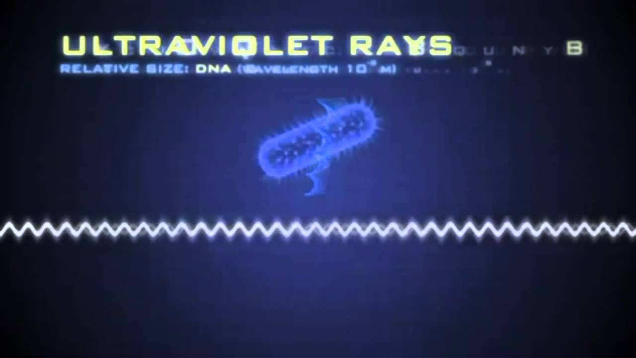 Neil Degrasse Tyson - Science Has Broadened Our Senses - YouTube