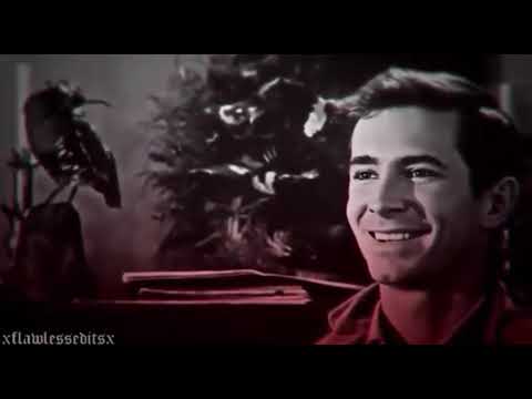 WhatsApp Status Video | The Stranges