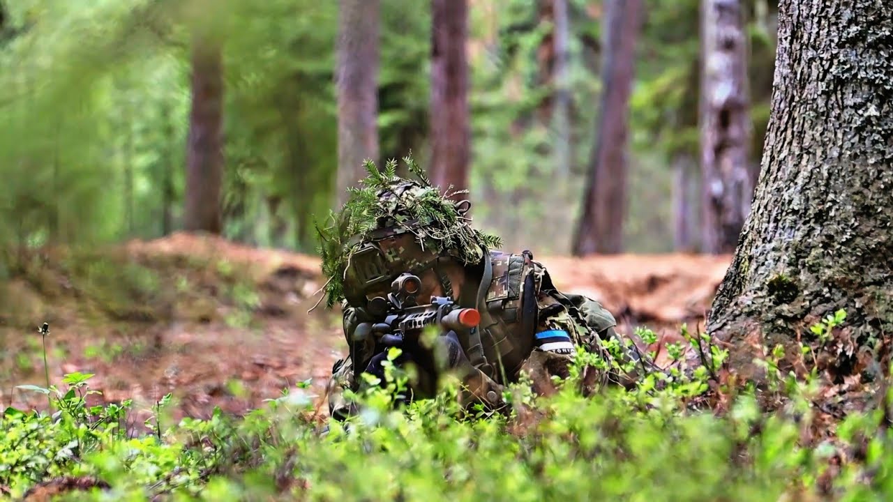 US Marines Join Estonia on Last Hedgehog Raid - YouTube