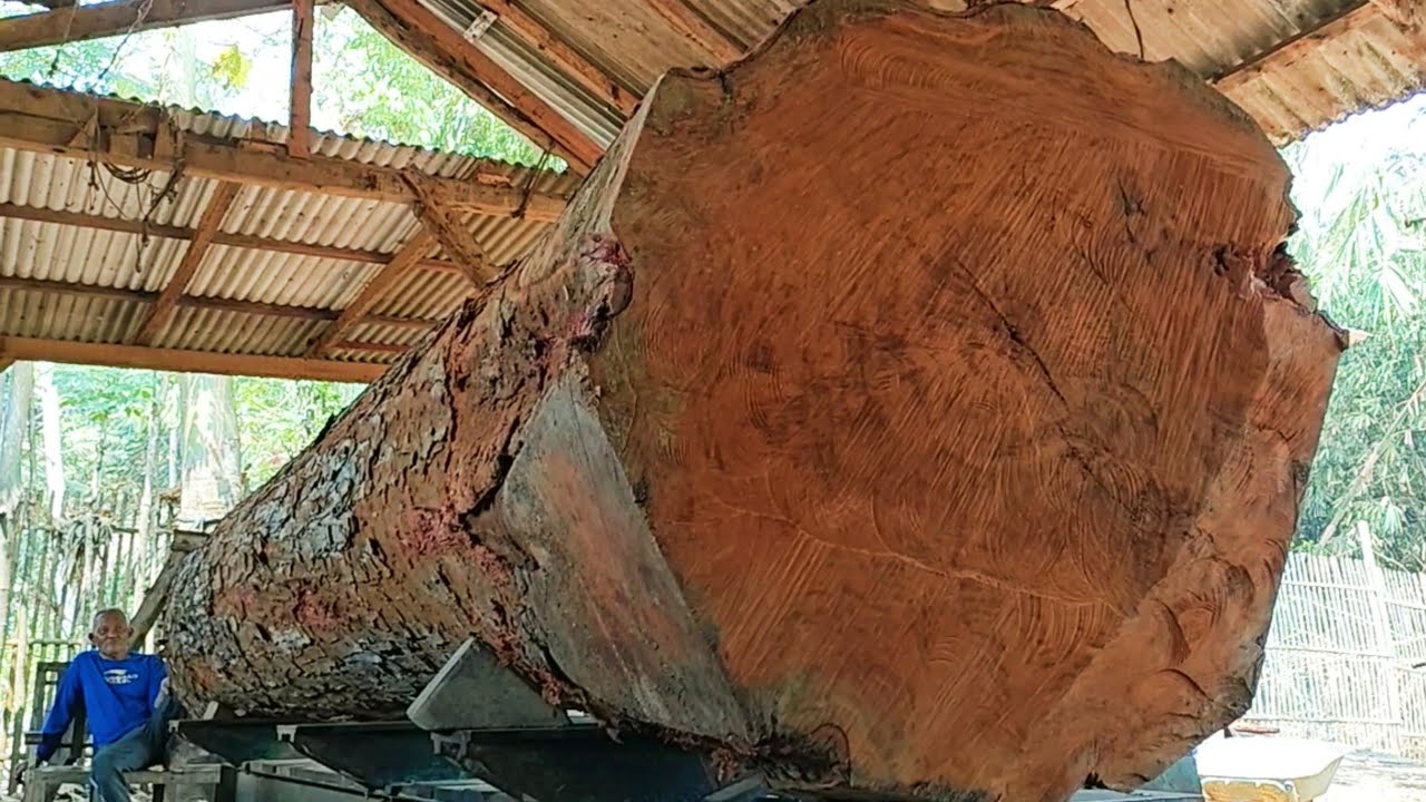 Big Log worth 5000$ at the sawmill - YouTube