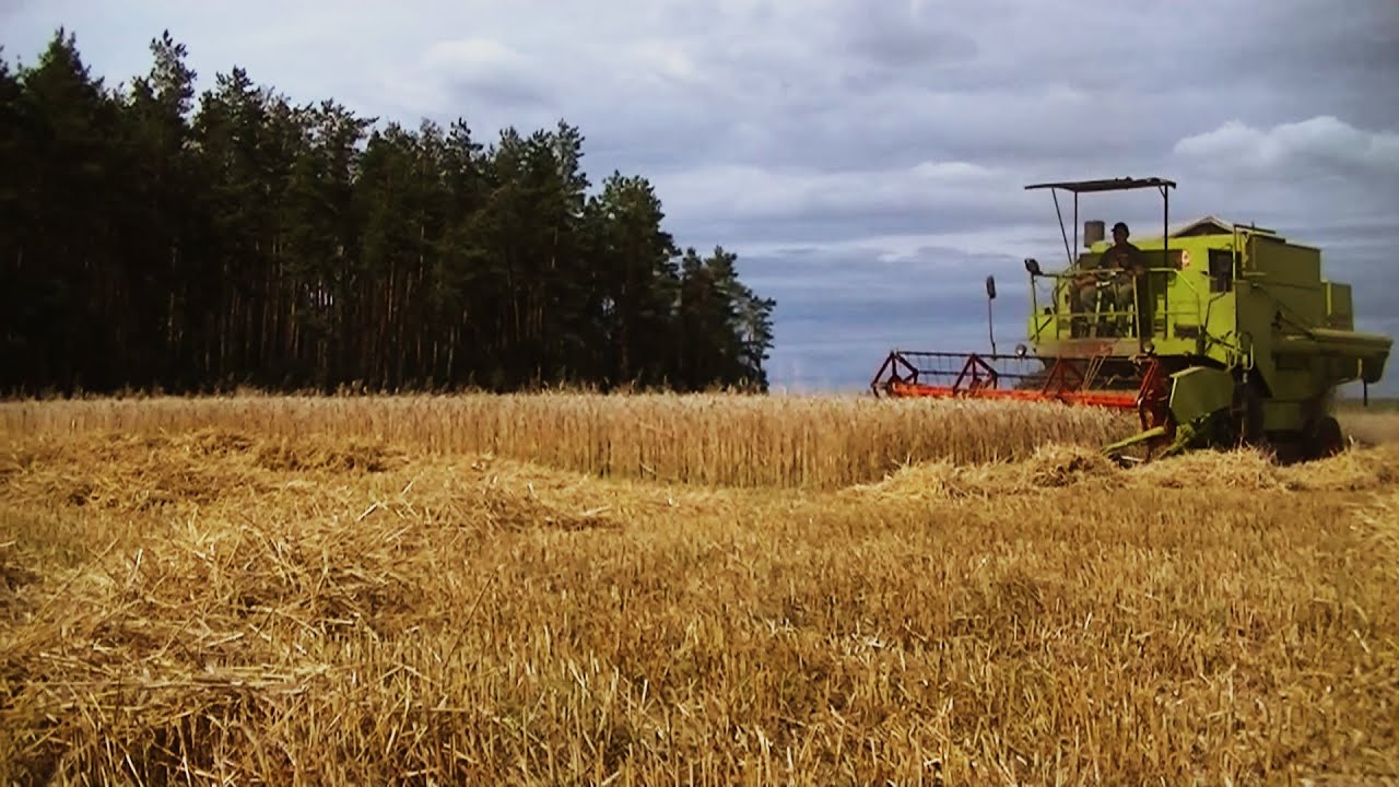 Żniwa 2016 | Class Dominator 80 - YouTube
