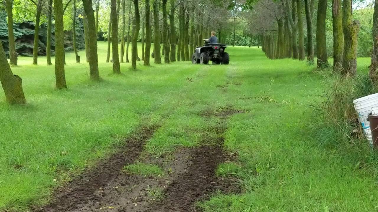 tearing-up-the-yard-youtube
