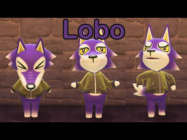 Lobo Animal Crossing New Horizons