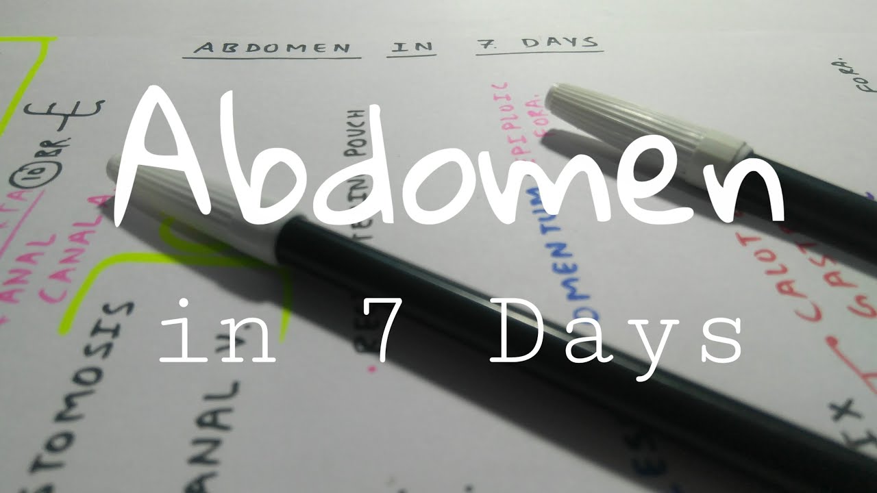 Abdomen Anatomy in 7 Days | The Charsi of Medical - YouTube