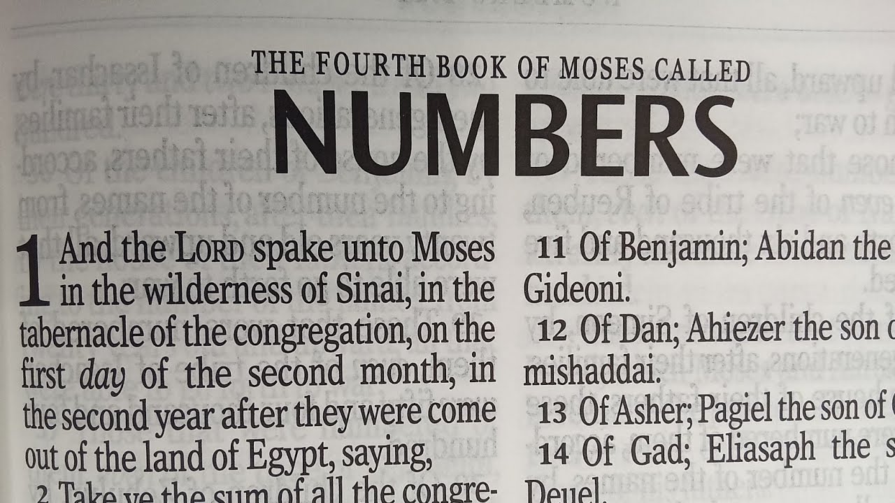 Numbers 34 - YouTube