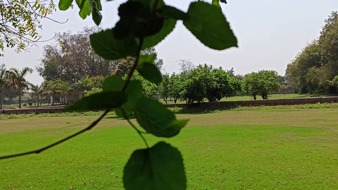 53240Sq Yards/11 Acres Rajokari Kapashera Estate Pushpanjali South ...