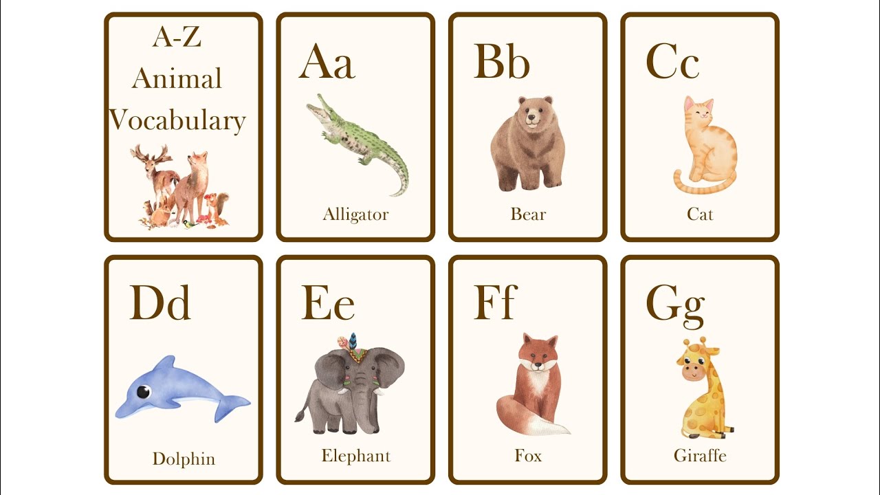 A-Z Animal Vocabulary in English |Animal Names | English Vocabulary ...