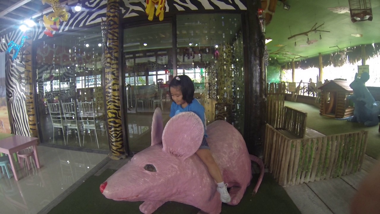 Zaab riding a Ginormous Rat! - YouTube