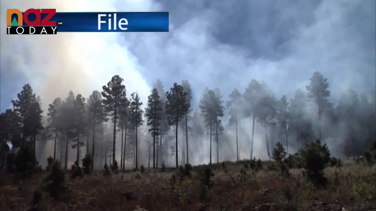 Forest Service Thins Over Half a Million Acres of Northern Arizona ...