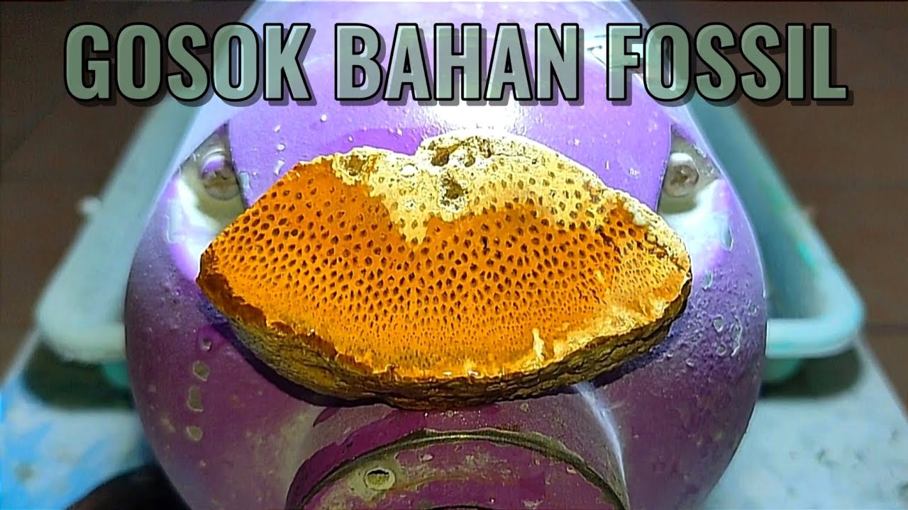 PROSES PENGGOSOKAN BATU FOSSIL‼️ - YouTube