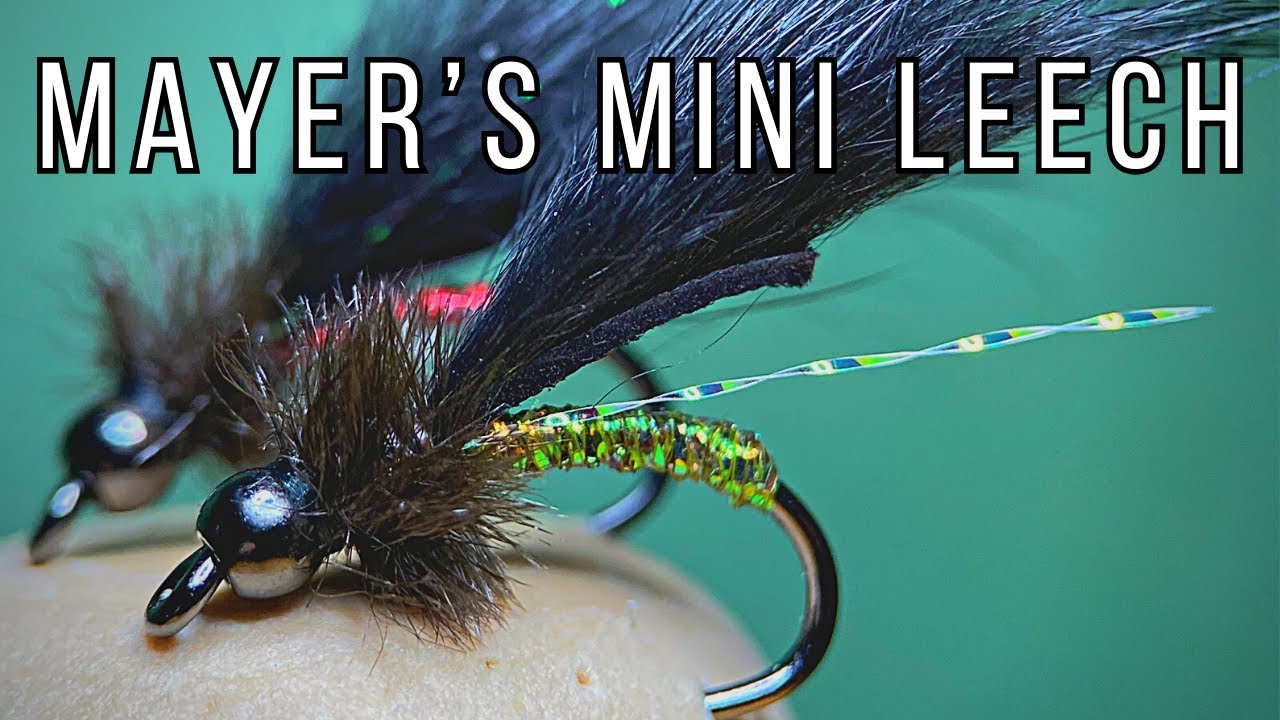Two Variations of Landon Mayer's Mini Leech - YouTube