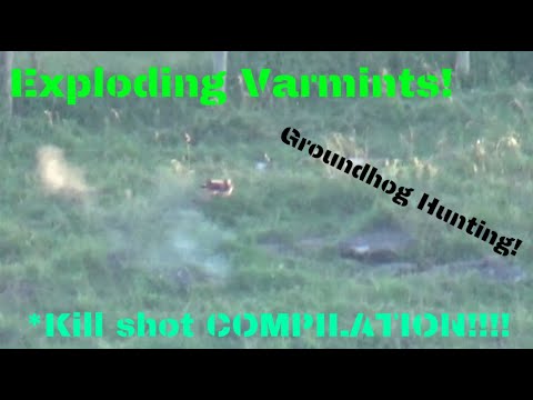Groundhog Hunting - Exploding Varmints!!! - YouTube