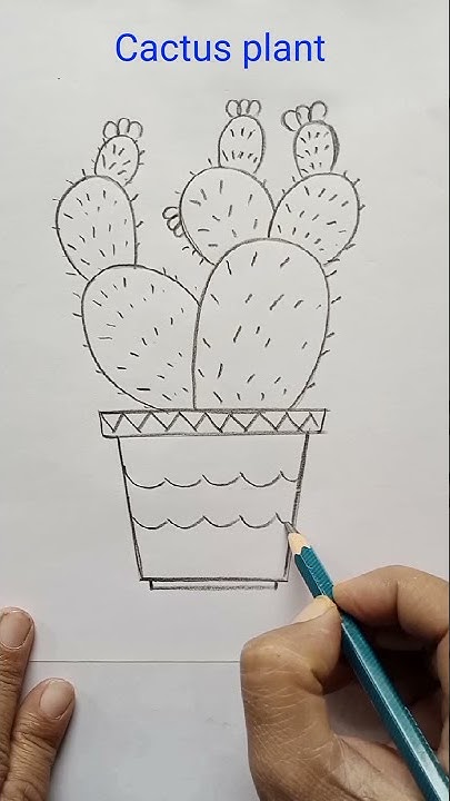 How to draw cactus plant #shorts - YouTube