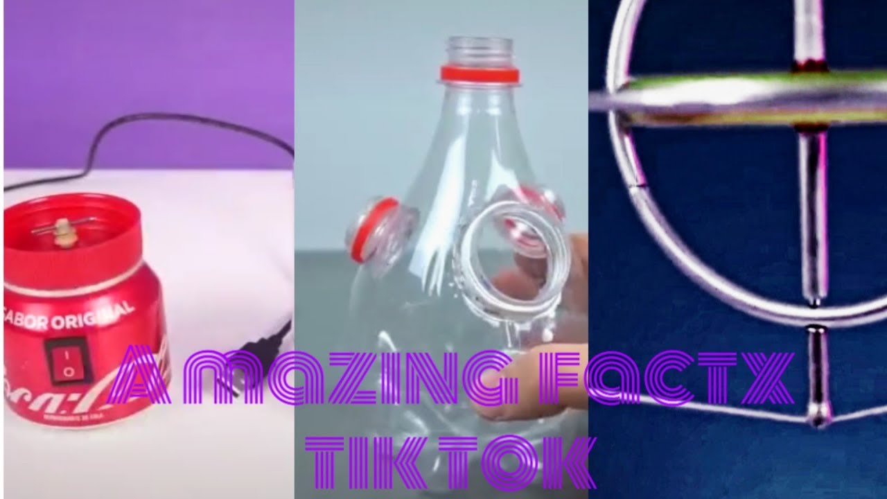 |Amazing Factx| tik tok - YouTube
