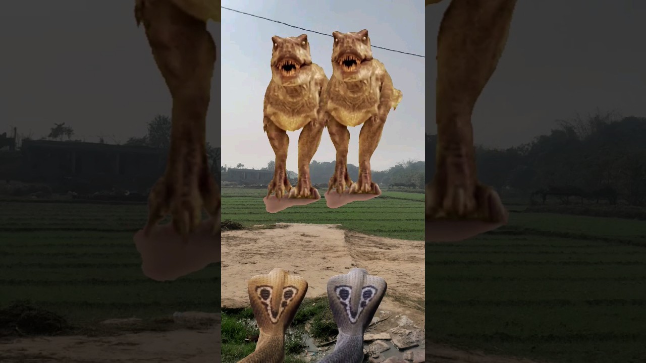 T Rex Chase Dionsaur Video Dinosaurjurassic Parkviralshorts Youtube