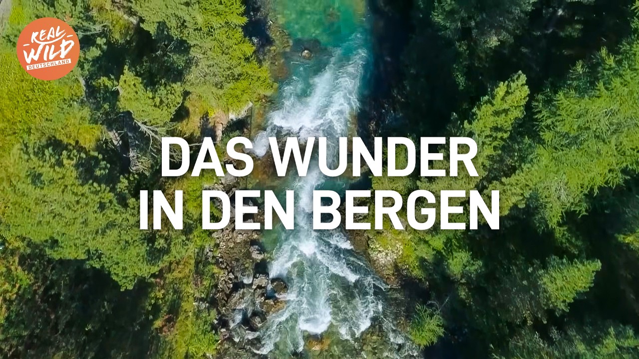 Die Kraft der Berge: Inn-Fluss, Steinadler und die Schweizer Alpen ...