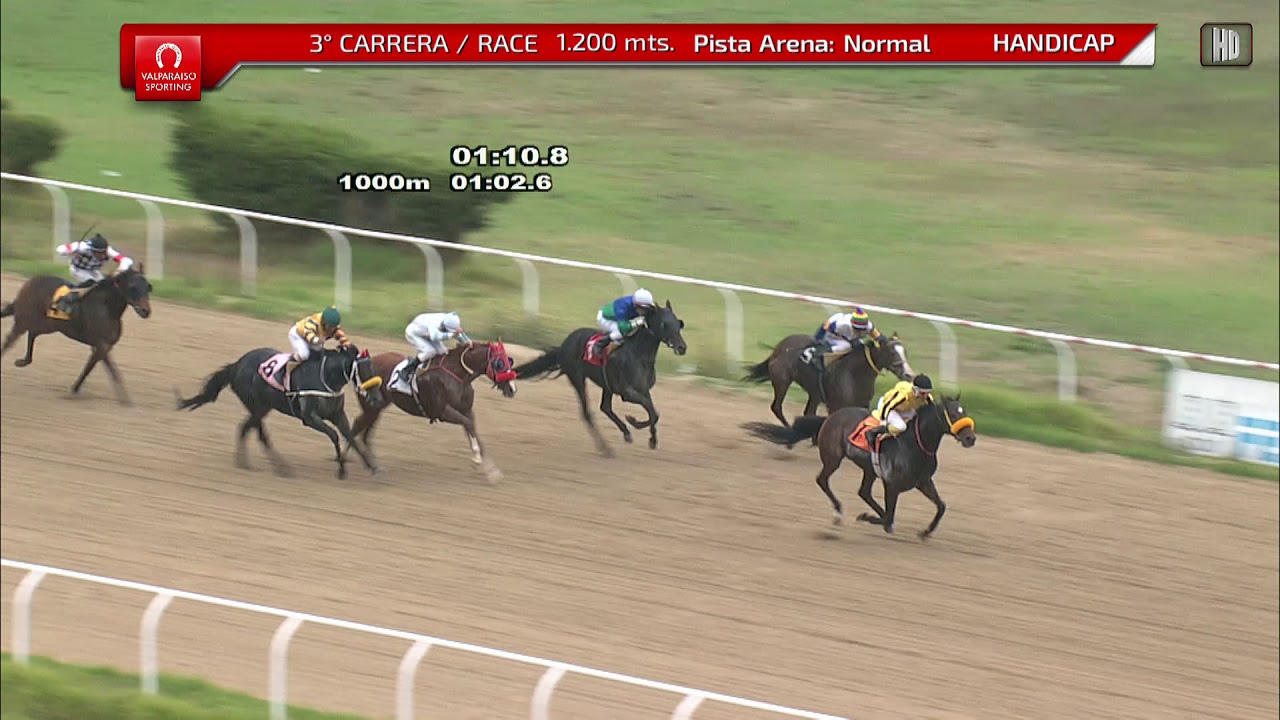 Carrera 3 04-04-2018 Premio: Omar Marchant - YouTube