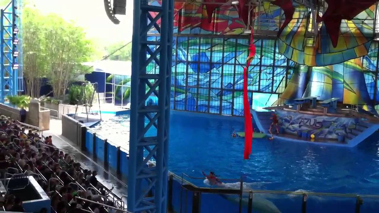 Azul at seaworld - YouTube