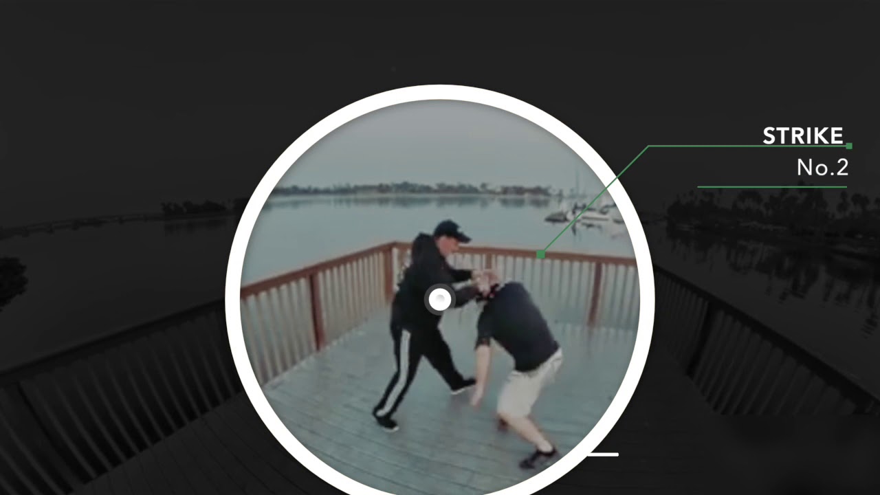 How to Throw Elbow Strikes in a Street Fight: 21 Elbows for Close ...