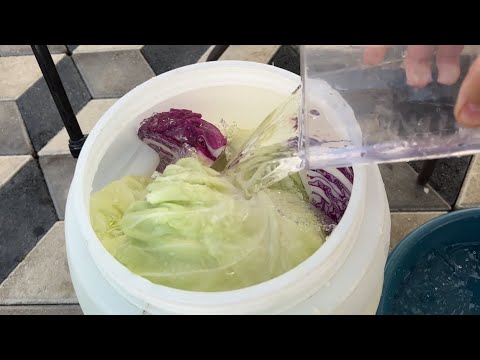 Lakra turshi 🤩 Me recetën e nënës qu nuk zbuten deri në dimër