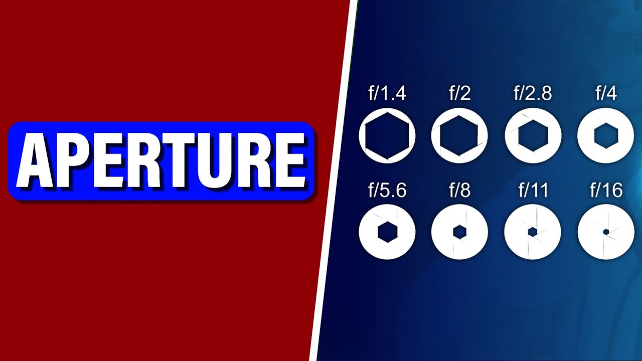 What is APERTURE and how to USE IT for Underwater Video? - YouTube