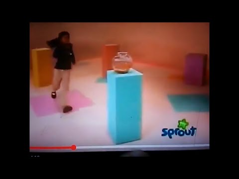 Grace & D Wild Interactive Development Logo Slow Howard Wigglebotton ...