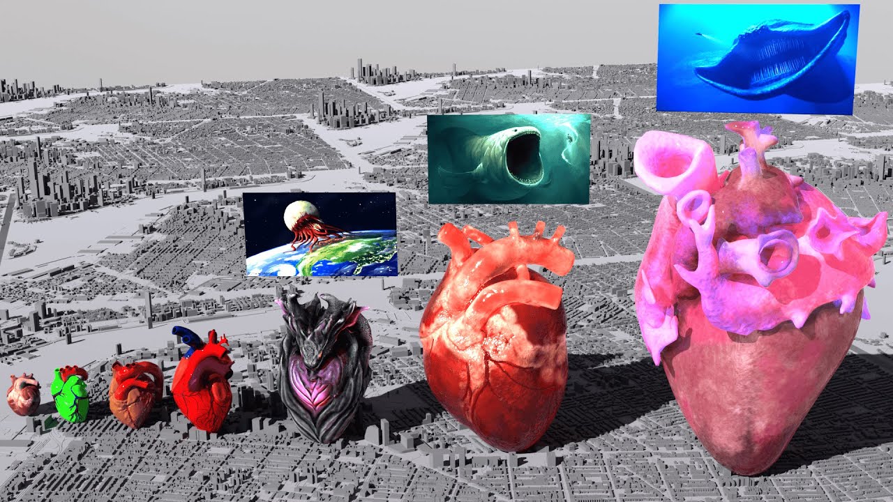 Monster Heart Size Comparison | Heart Size Comparison 3D - YouTube