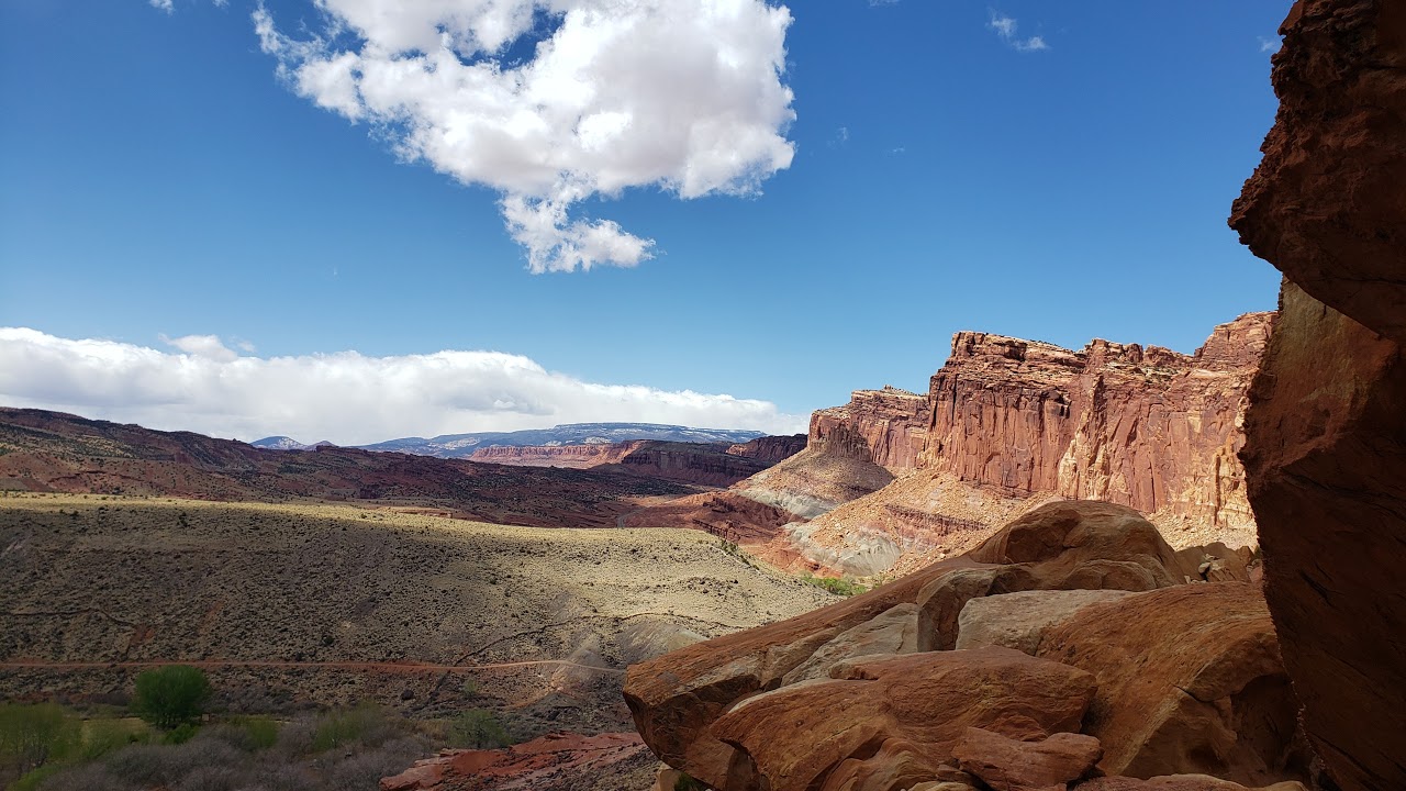 Reiki Healing with Rachel C. Live Stream - YouTube