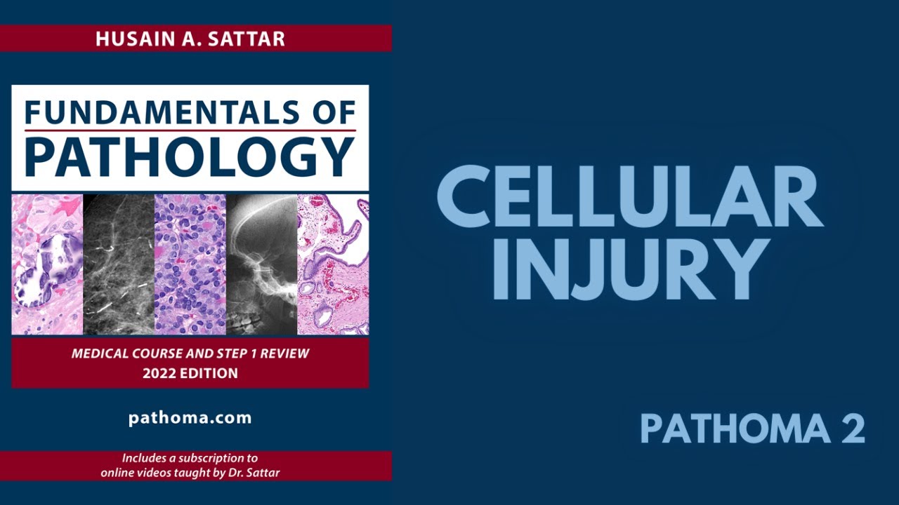 CELLULAR INJURY ( Pathoma 2 ) - YouTube