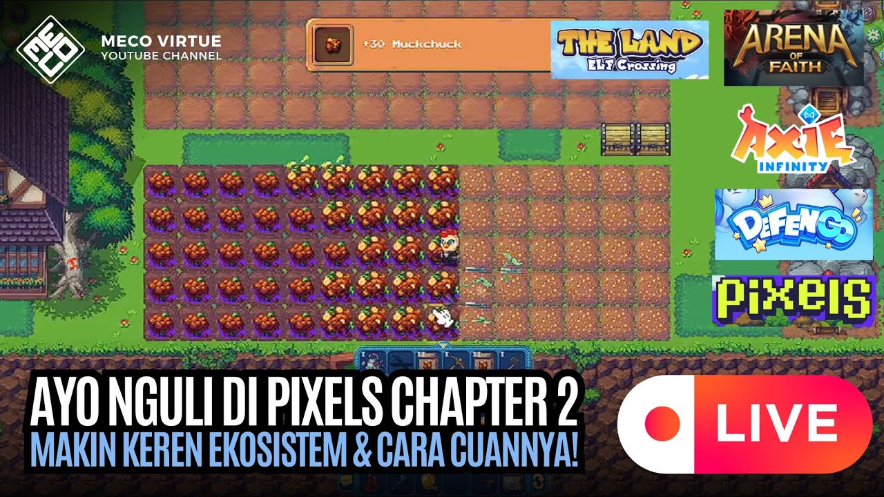 🔴 Pertama Kali Main Di Pixels Chapter 2 - MECO LIVE #58 - YouTube