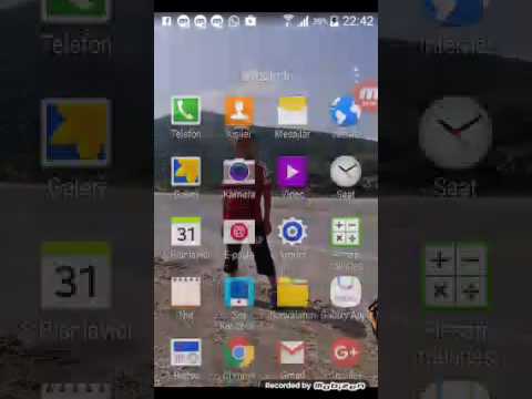 Vidyolar(30)