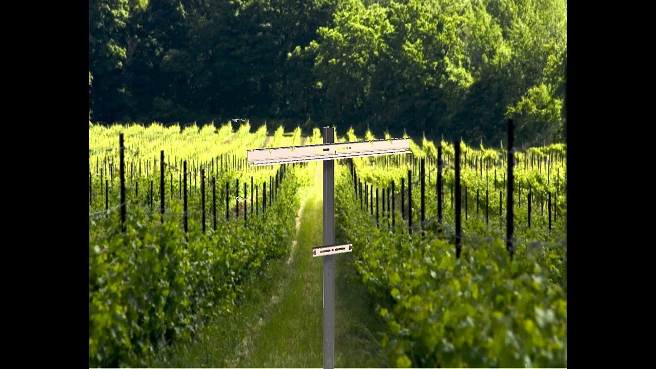 Grape Stake assembly with adjustable crossarm - YouTube