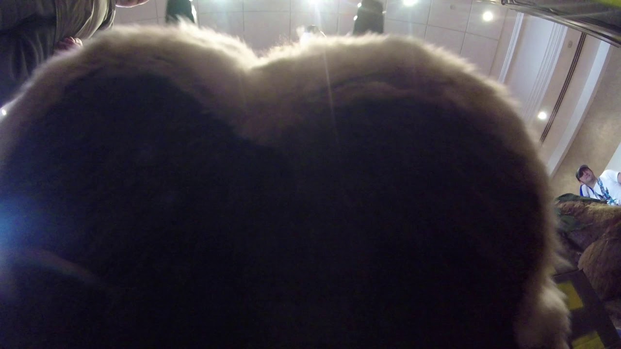 Stomp Cam 05 - YouTube