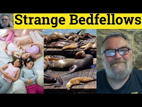 🔵 Bedfellows Meaning - Strange Bedfellows Definition Shakespeare Adversity Makes Strange Bedfellows