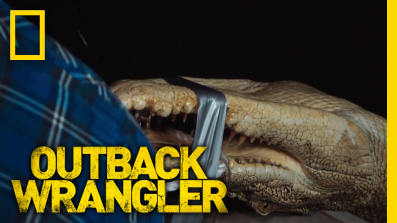 Late Night Crocs | Outback Wrangler - YouTube