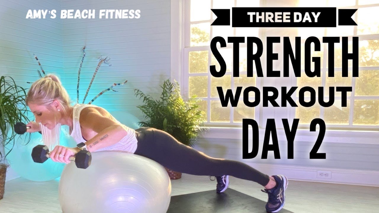 Three Day Strength Workout - Day 2 - Biceps, Back & Core - YouTube