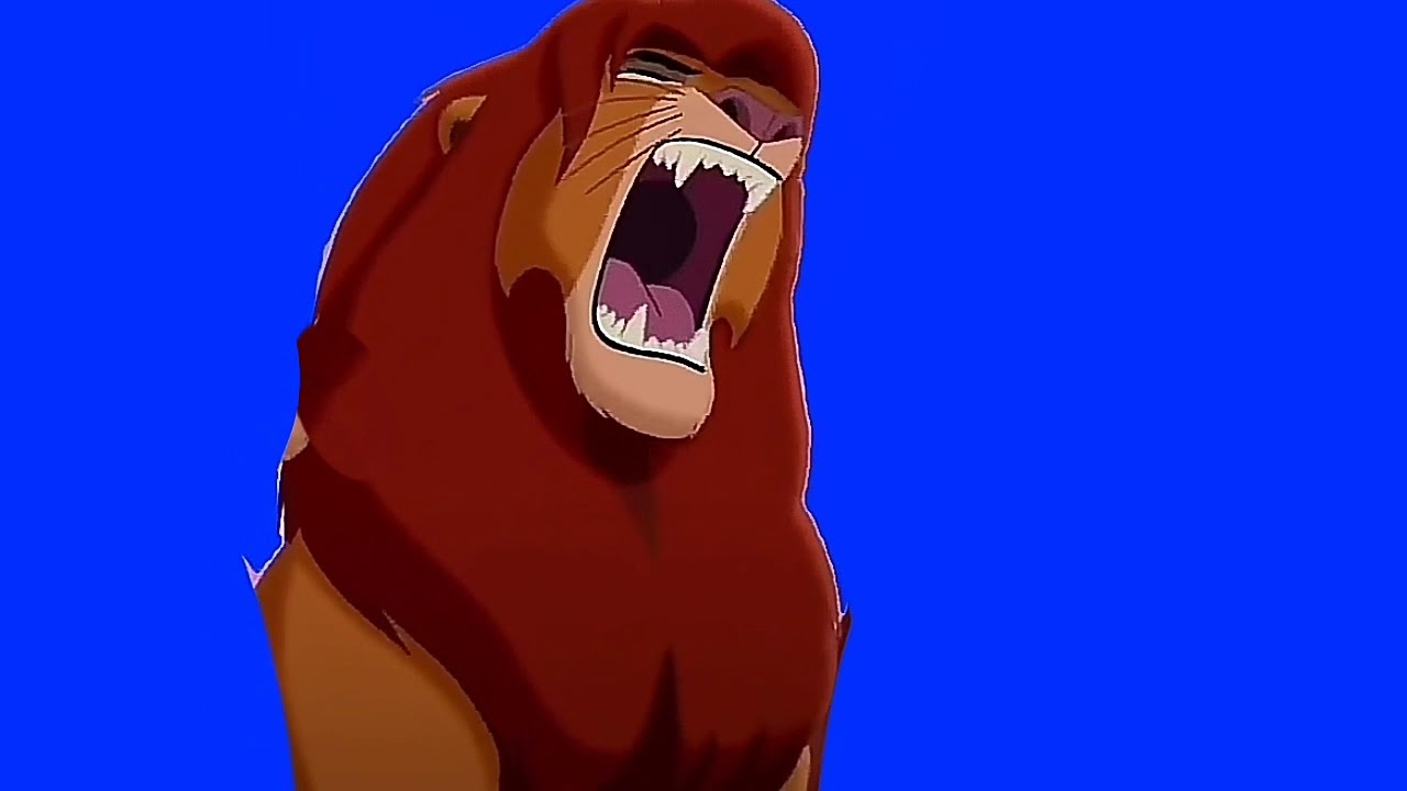 Simba roaring/Free masking/[Pls credit me] - YouTube