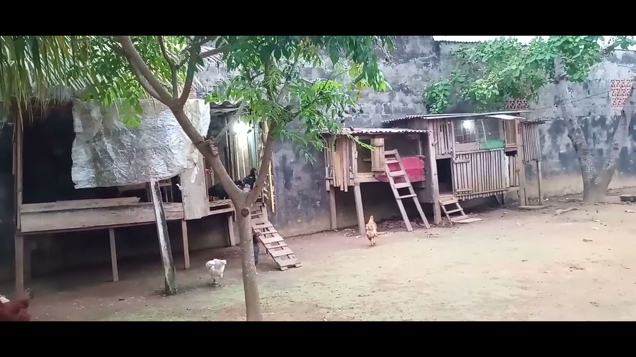 31 de maio de 2023 - YouTube