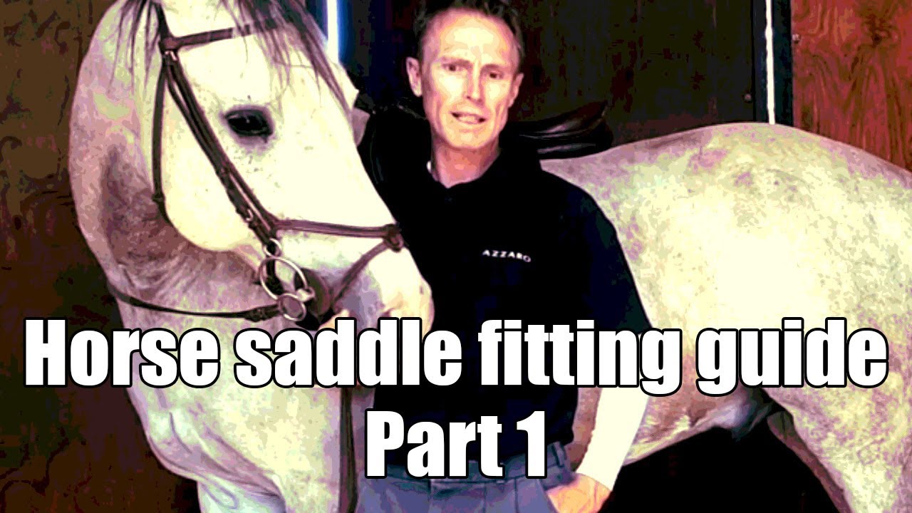 Horse saddle fitting guide (Part 1) - YouTube