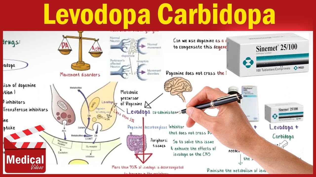 Pharmacology [CNS] 3- Parkinson's Disease Treatment [Part 1: Levodopa ...