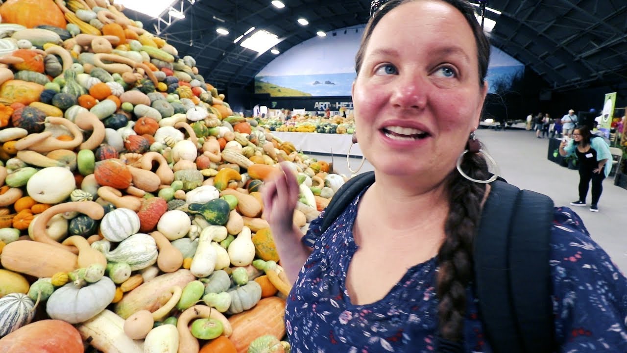 Meet Real Food - Like Never Before - YouTube