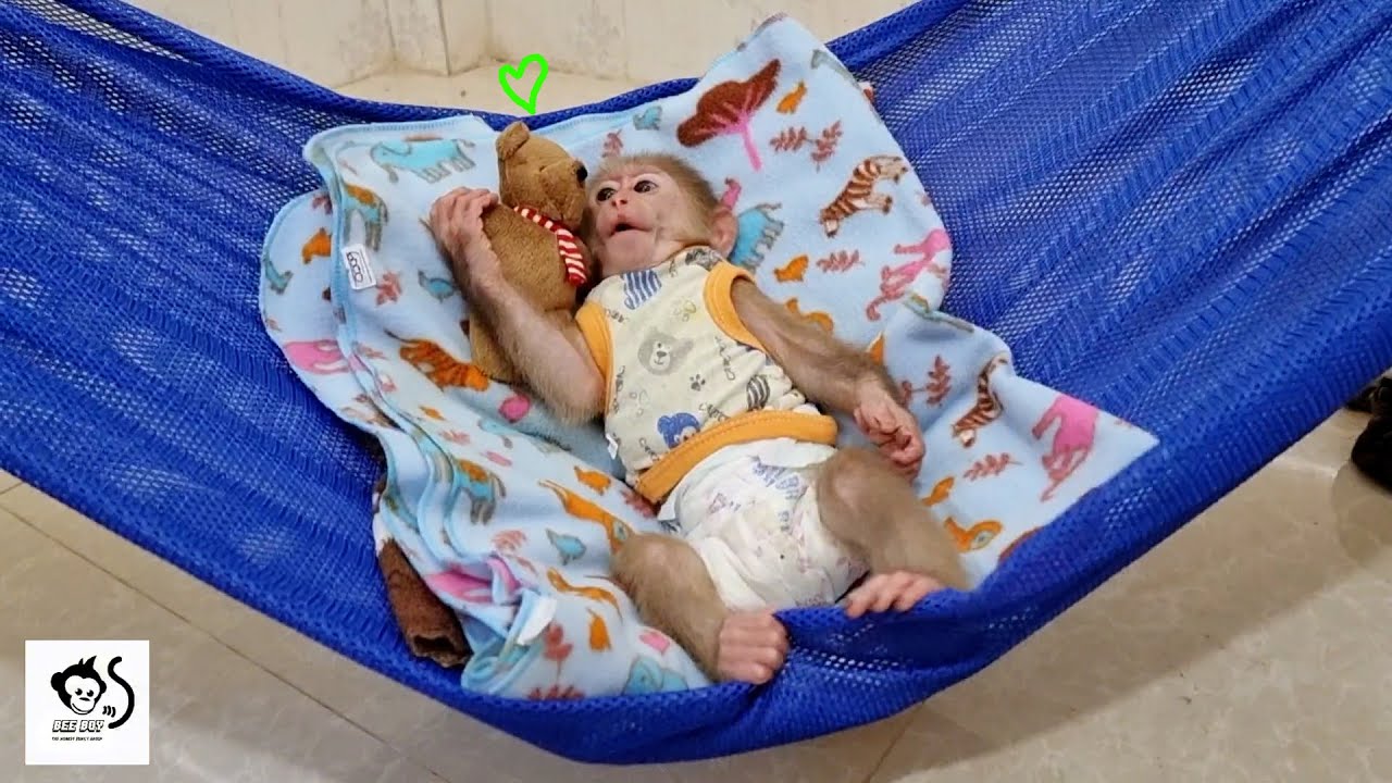 BeeBoy So Love And Care Of His Favorit Bear Take Him All Place He Goes ...