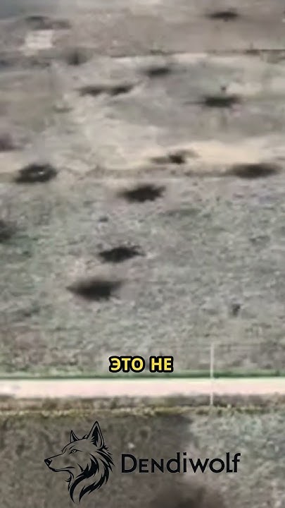 Что самое ценное в жизни Доброволец не задумываясь ответил ДРУЖБА